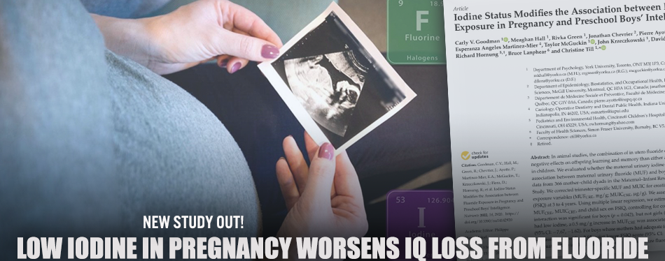 Fluoride Action Network | Broadening Public Awareness on Fluoride.